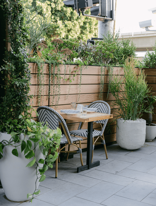 Potted Plants | Faux and Real Plantscapes — Chloe + Mint Productions