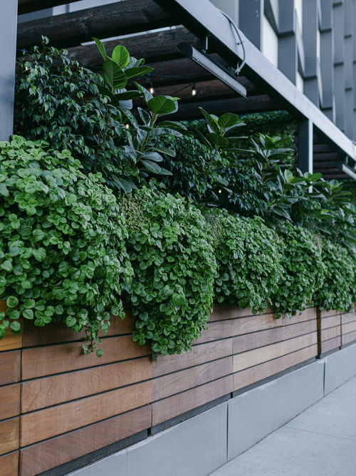Potted Plants | Faux and Real Plantscapes — Chloe + Mint Productions