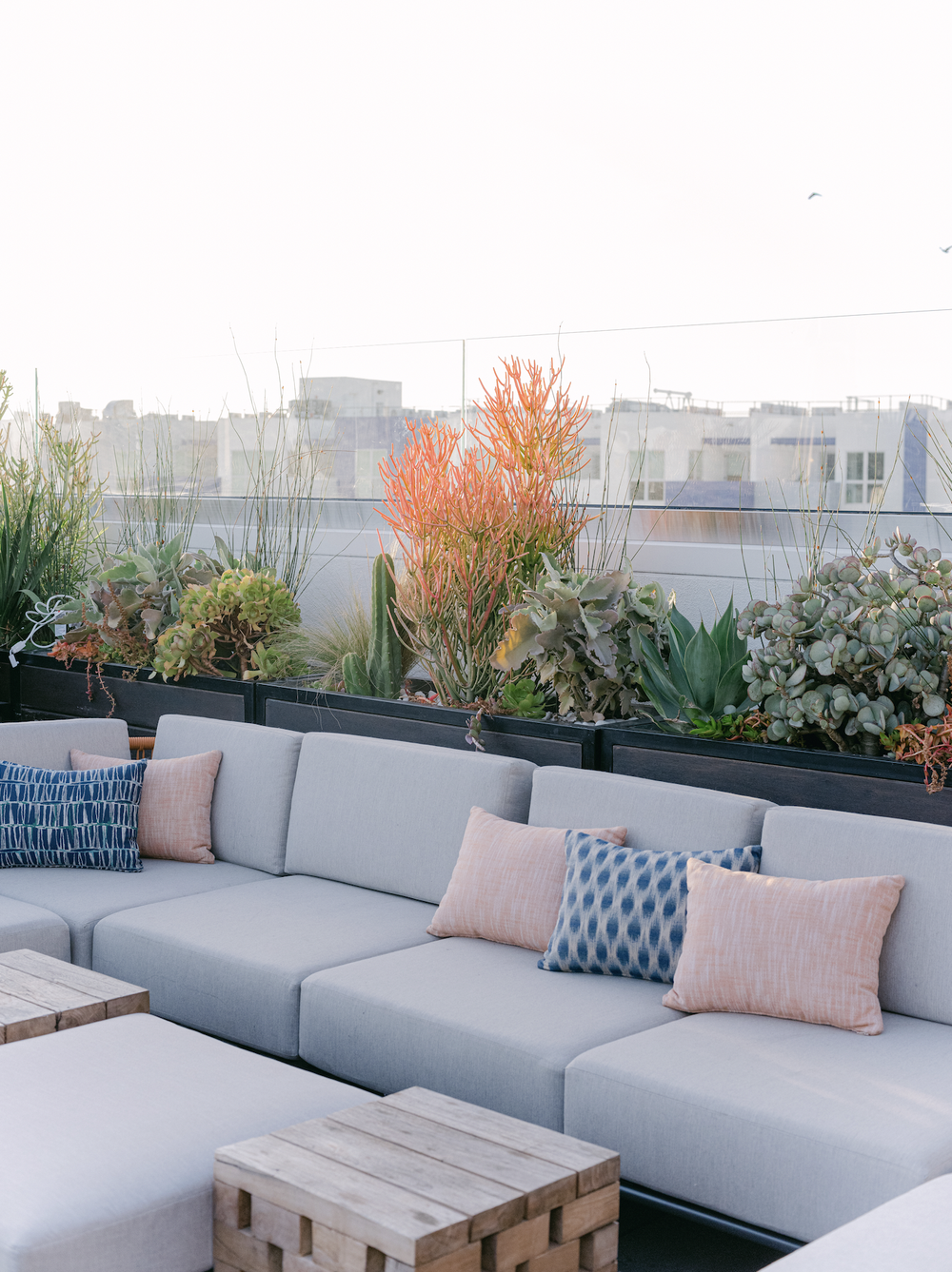 Potted Plants | Faux and Real Plantscapes — Chloe + Mint Productions