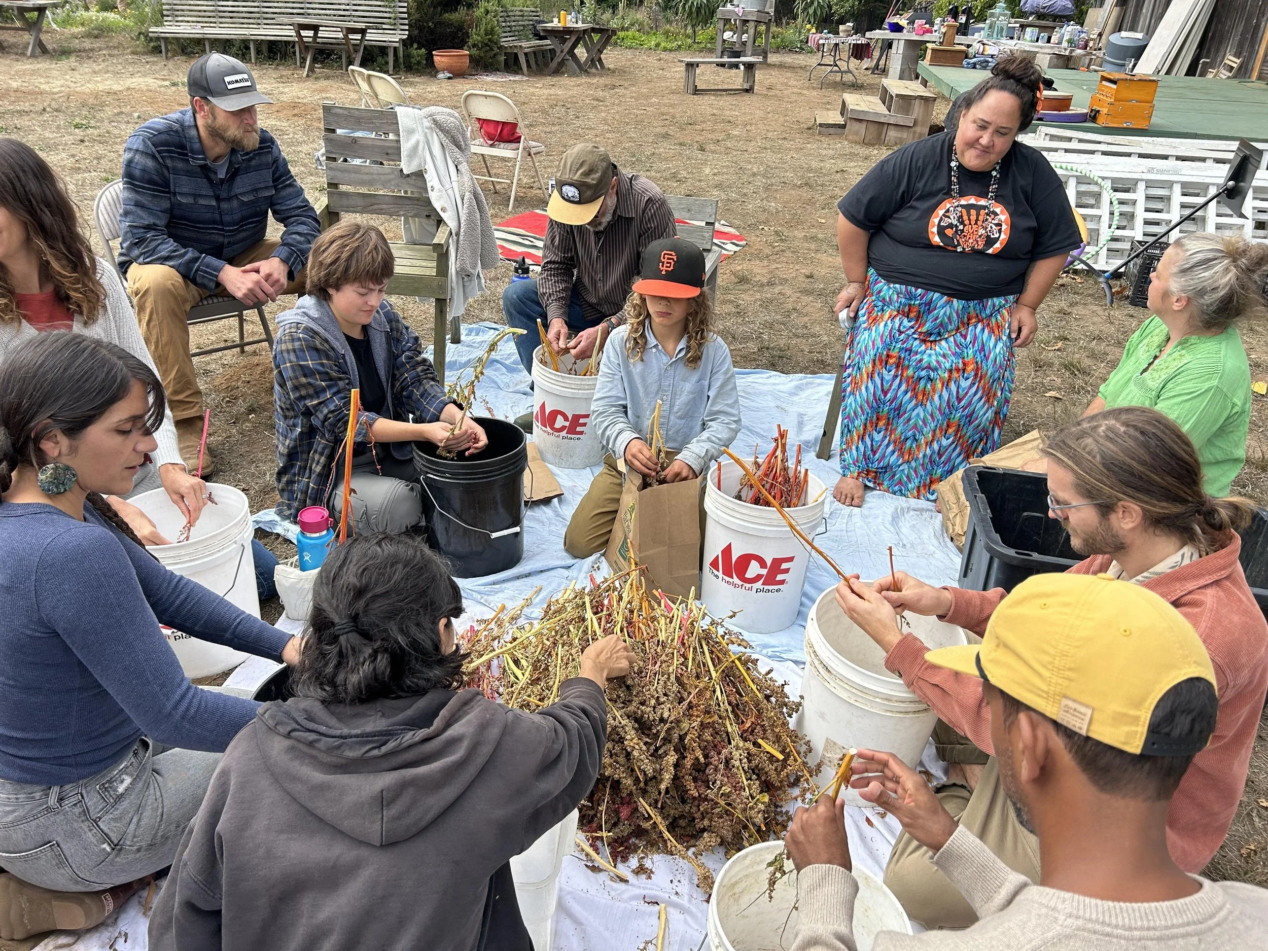 ONLINE GALLERY — UPSTATE CREATIVE CORPS