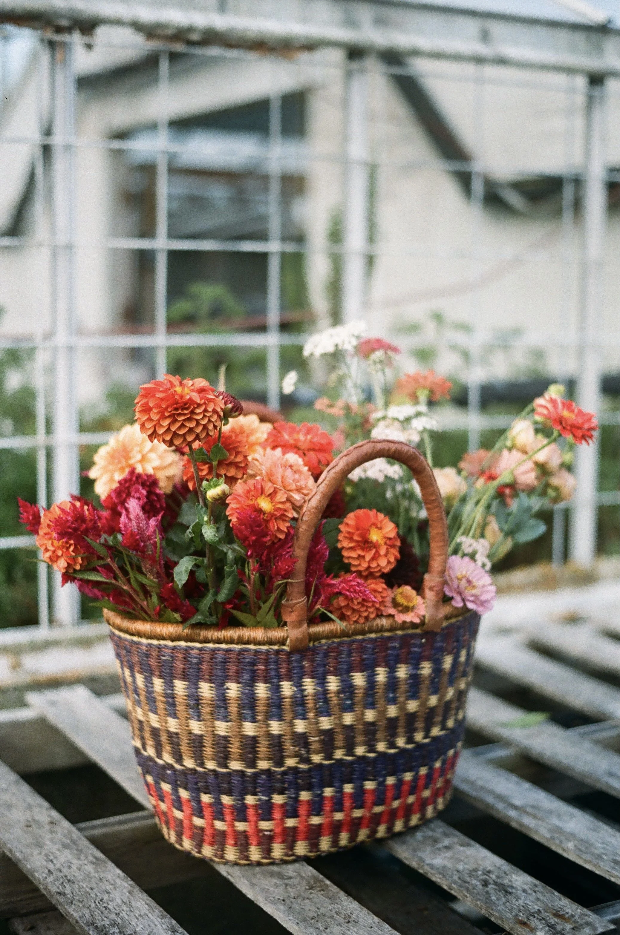 St Louis Local Flowers — Urban Buds