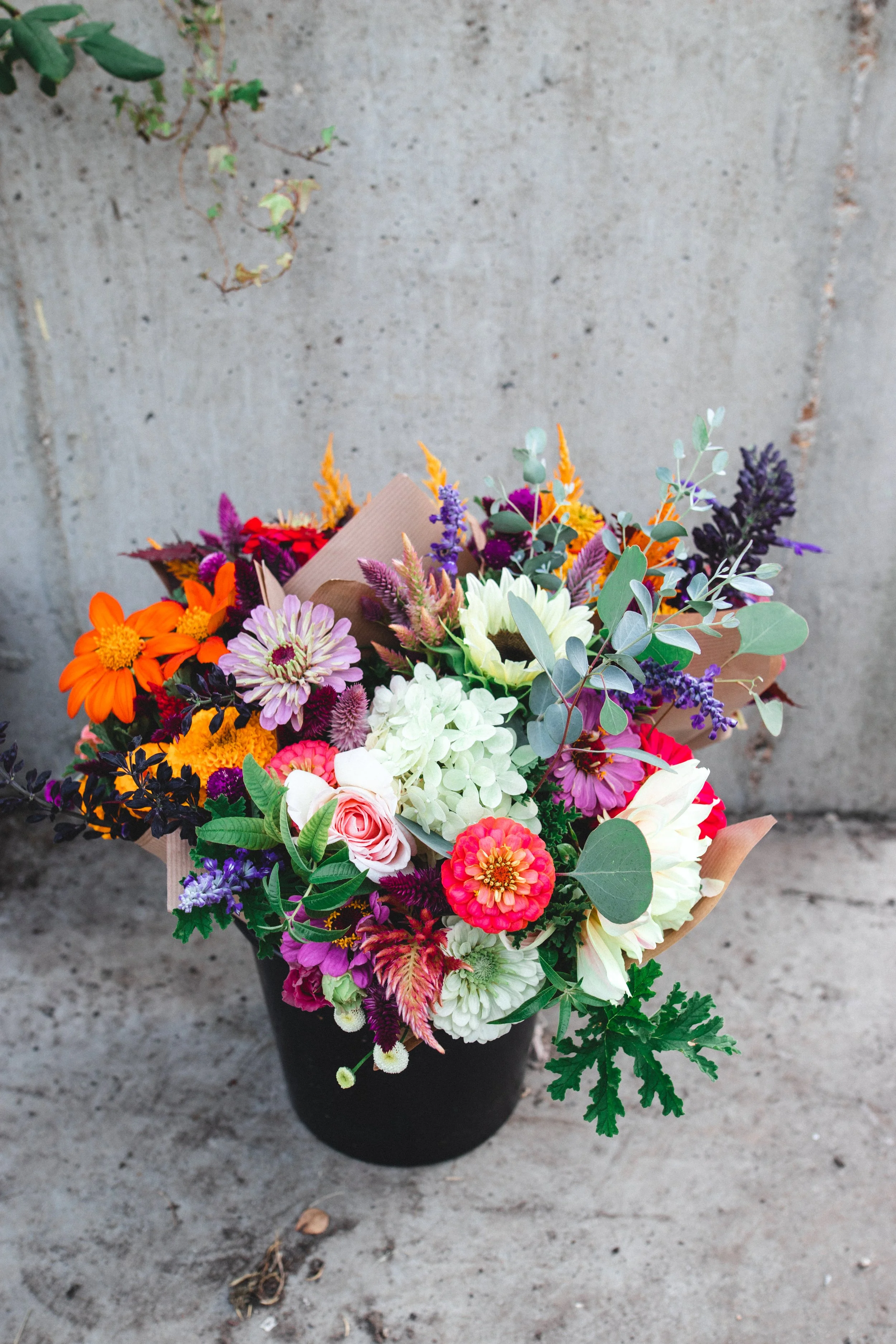 About — Urban Buds