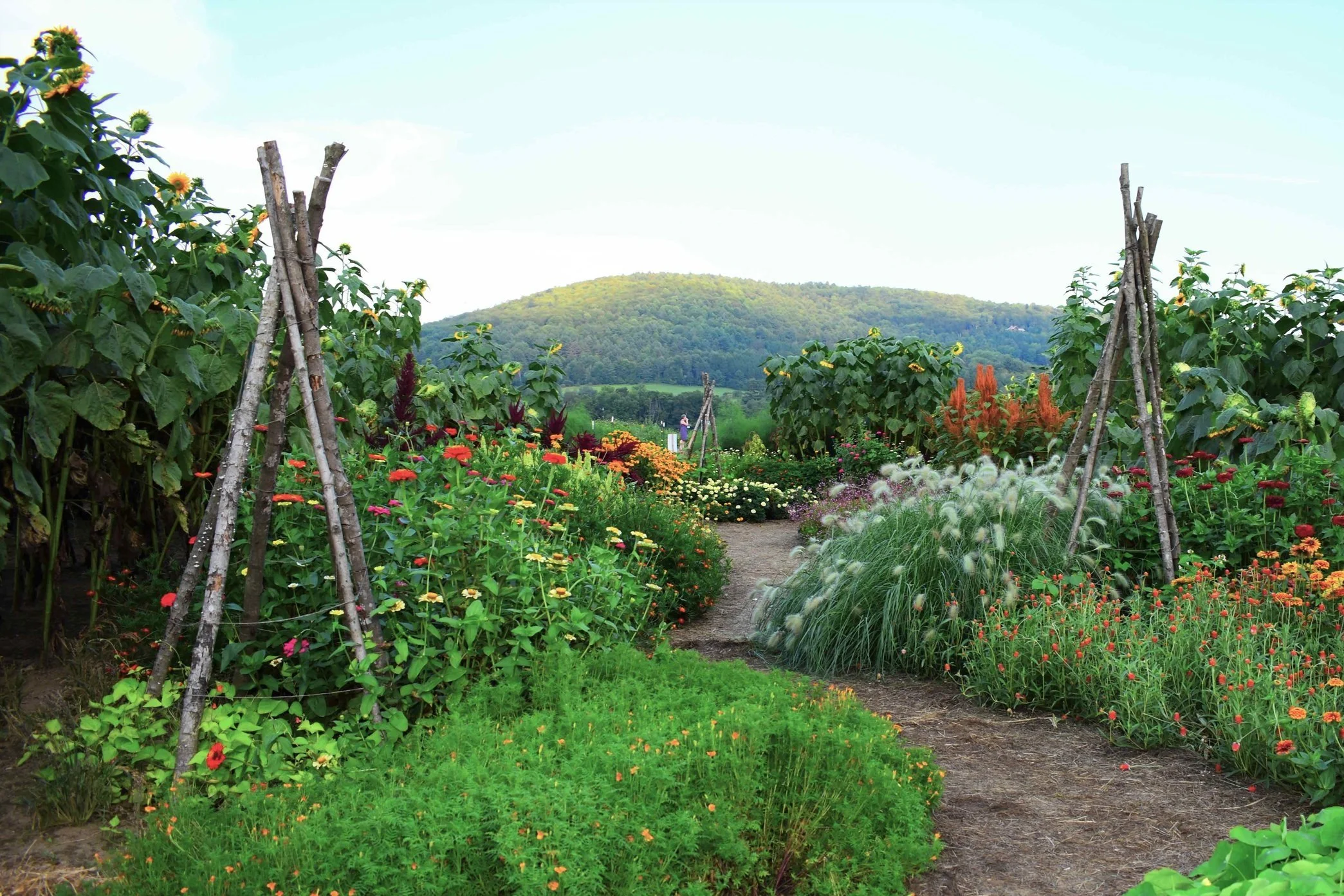 Artist Exhibiting Membership — Brandon Artists Guild