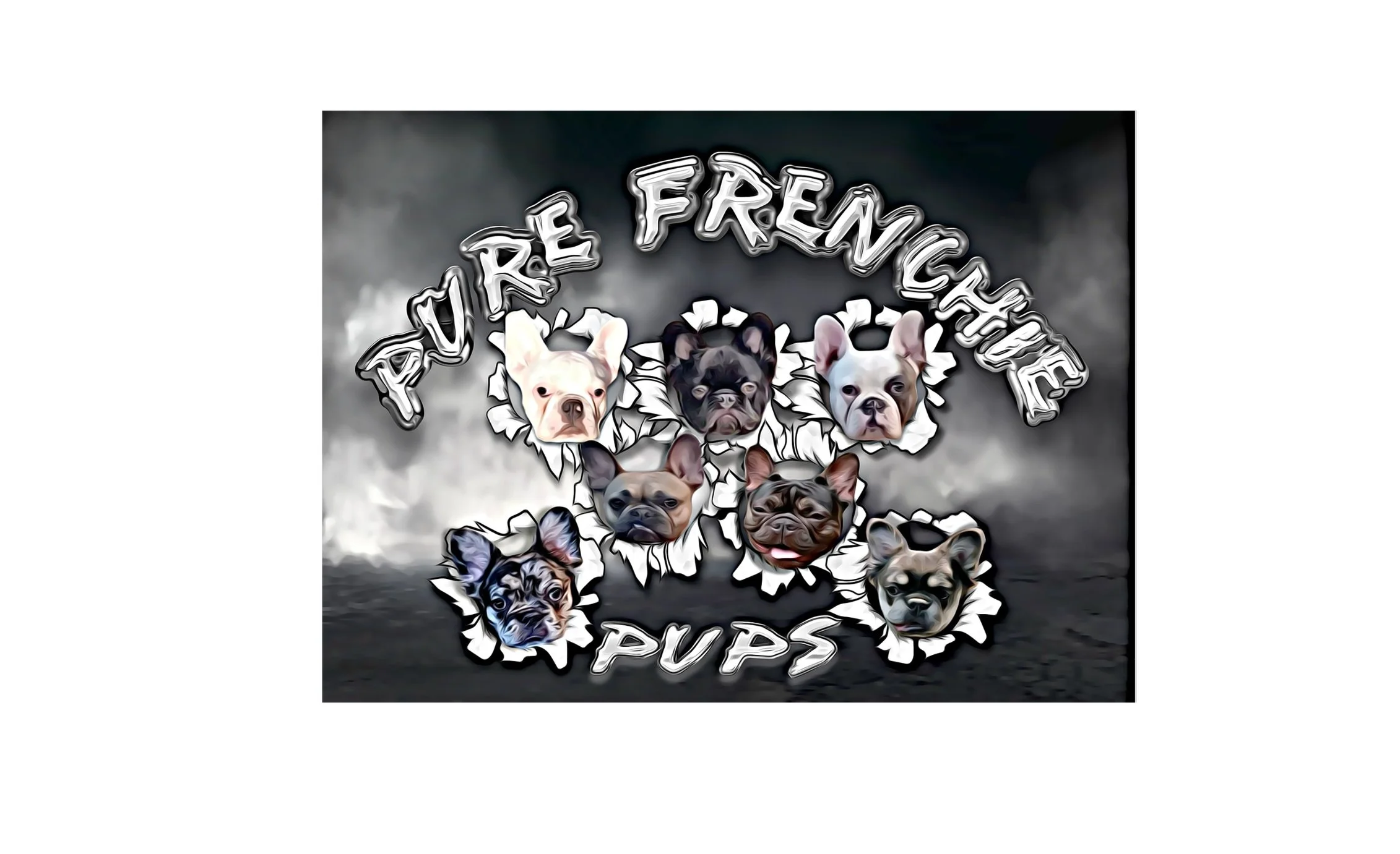 About 1 — Pure Frenchie Pups