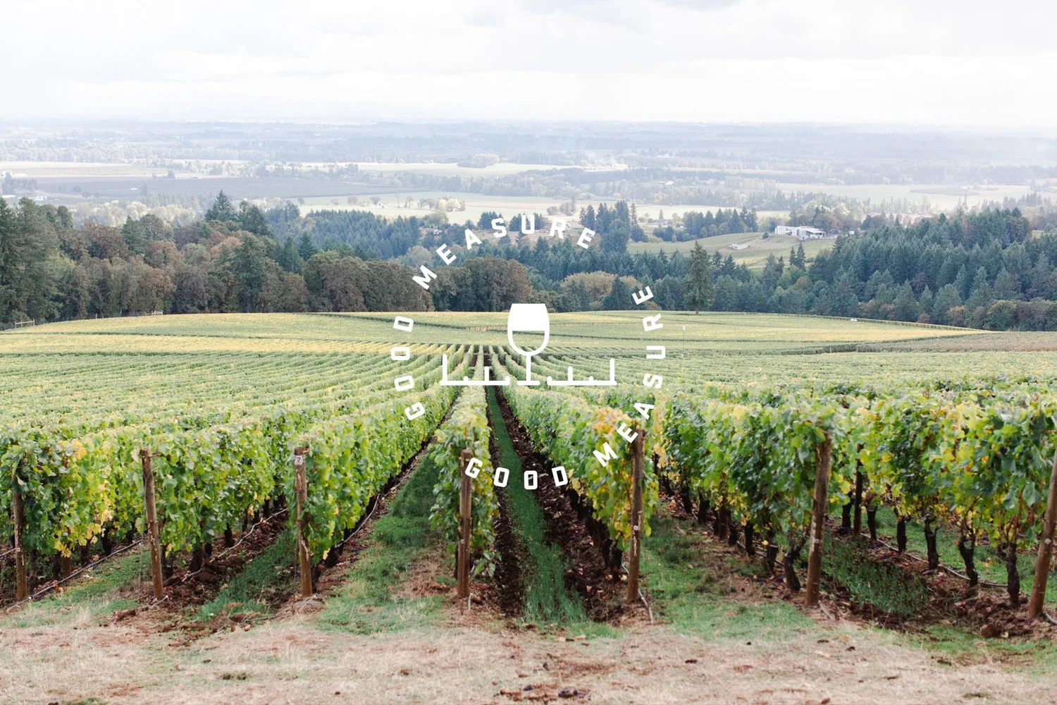 Good Measure Wines Brand, Label, and Packaging Design — Russell Shaw Design