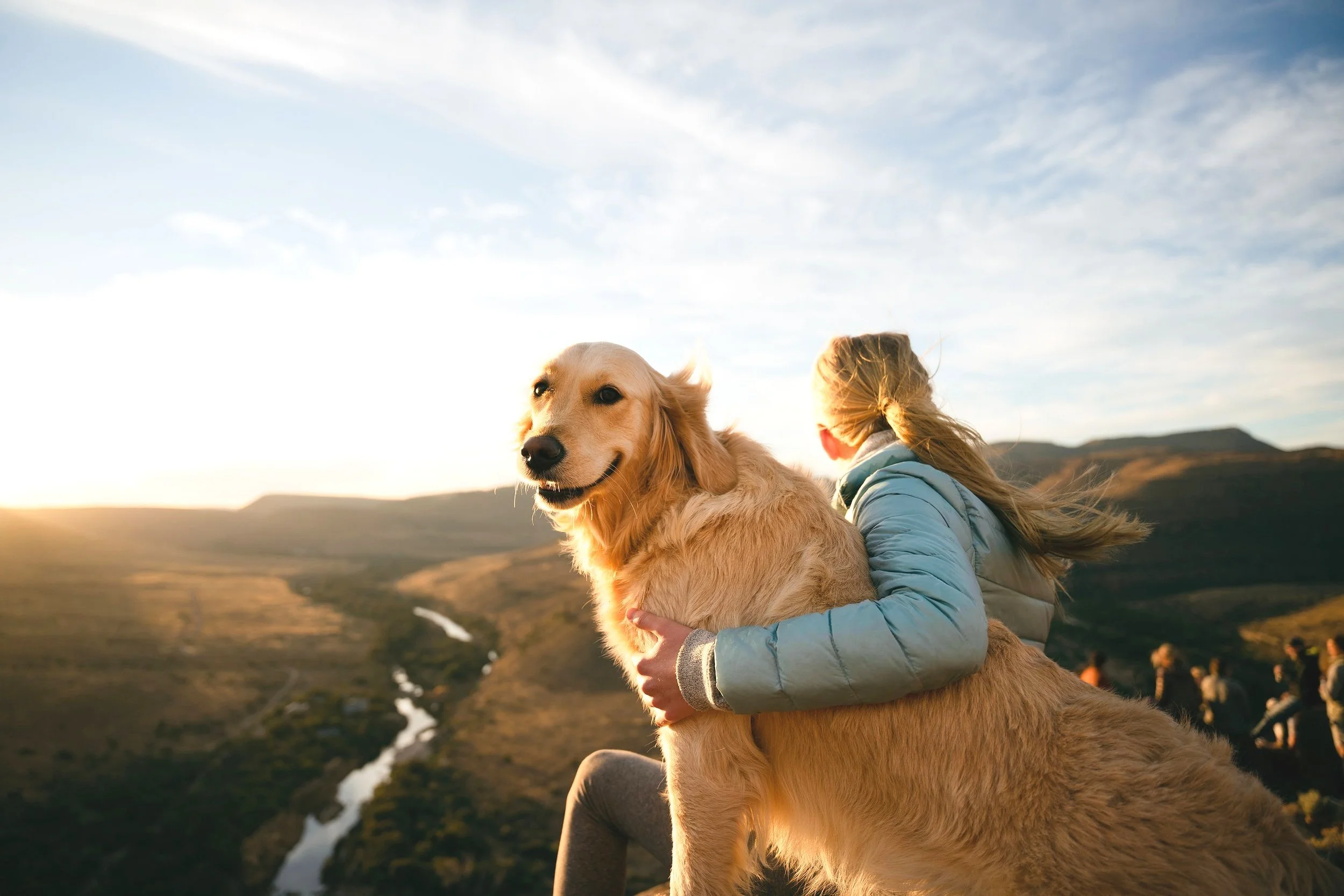 Stay Wiggly ~ Dog training: Do Less & Get More Results!