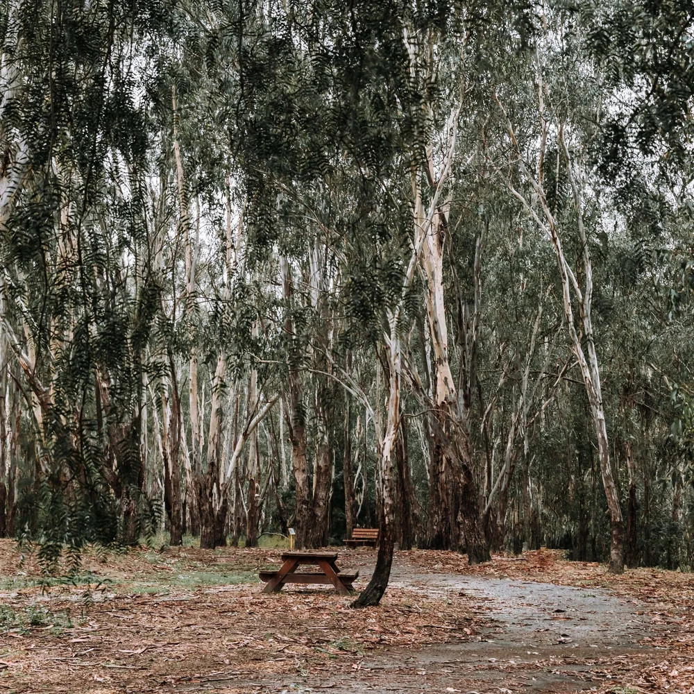 Blog 2 — Destination Goulburn Valley