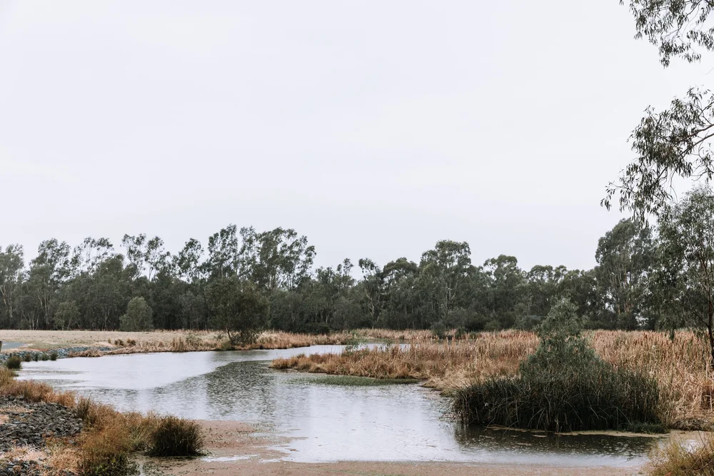 Explore a bushland-style park over 33 hectares of wetlands, woodlands ...