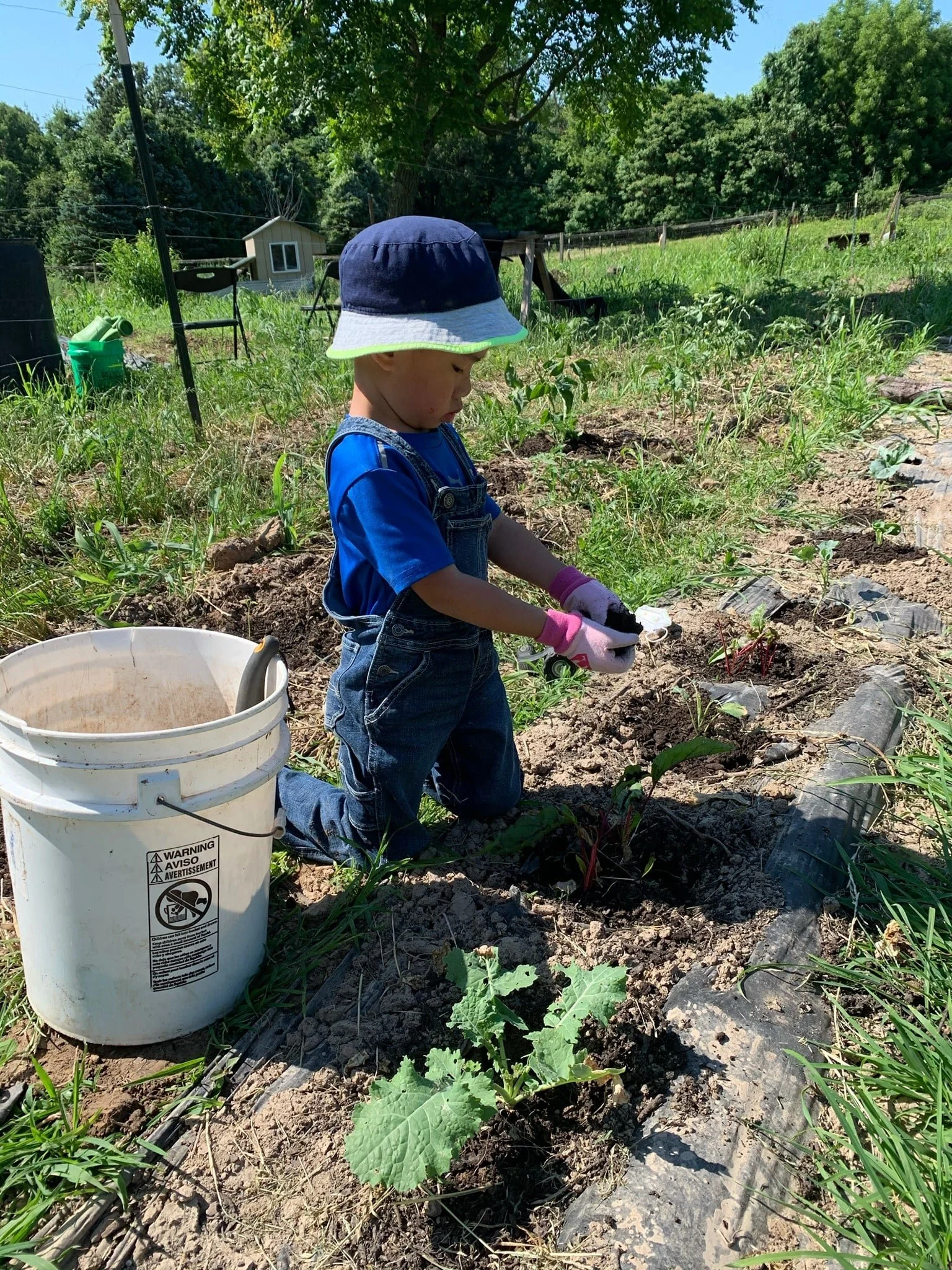 FARM SCHOOL — PHI GLOBAL FARMS