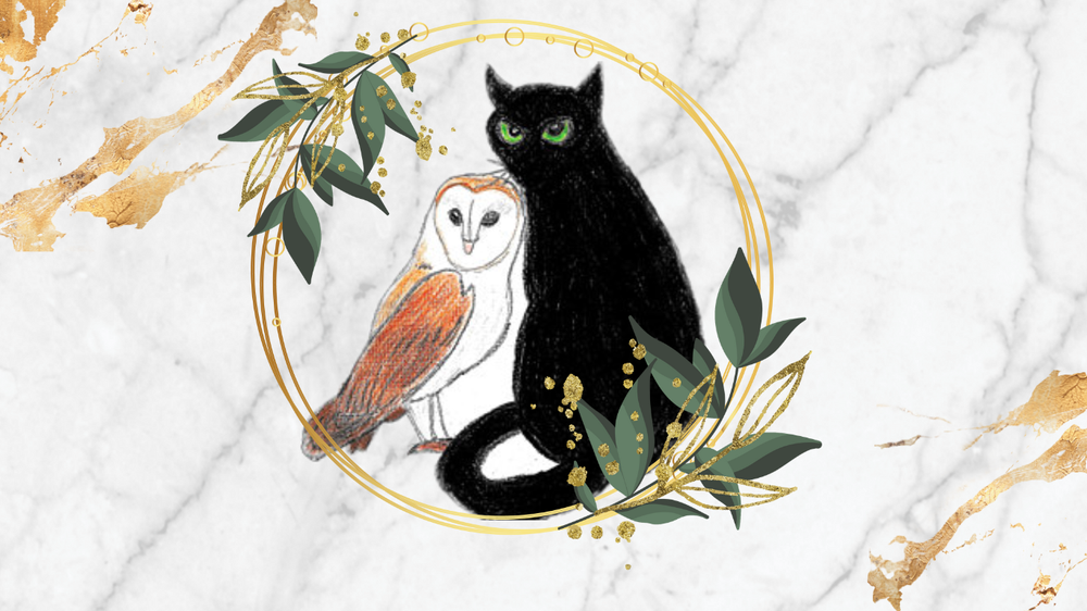 Black Cats and Barn Owls