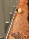 NEVER-PEST by Stockman | Shed Vermin-Proofing