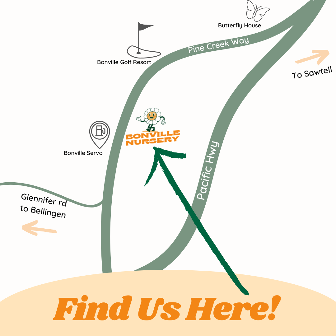 Contact — Bonville Nursery