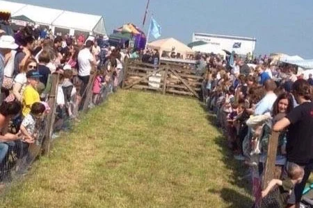 Pig Racing — Craigievern Poultry and Pigs