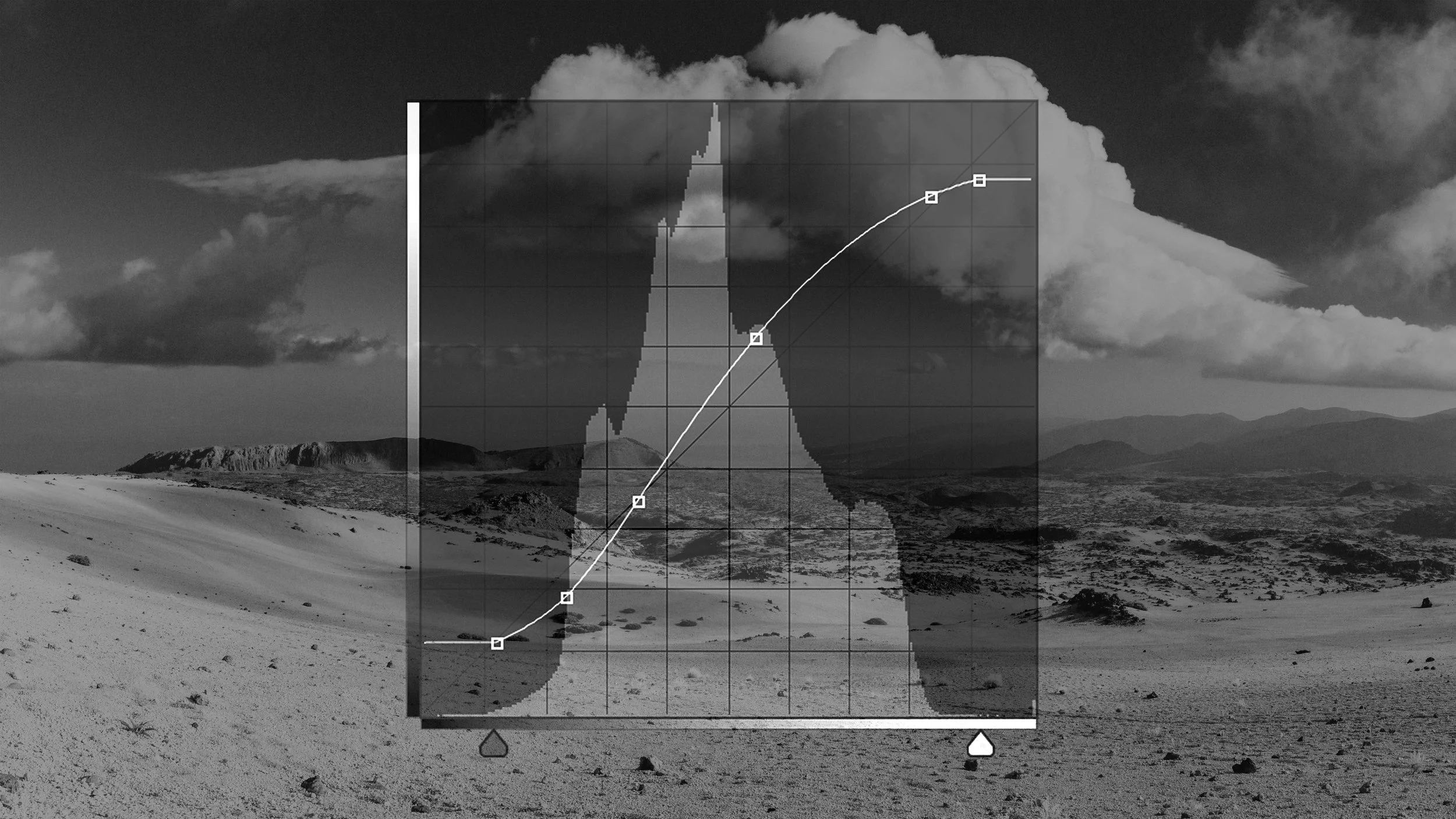 Making Tonal Adjustments Using Curves in Adobe Photoshop — Attitude ...