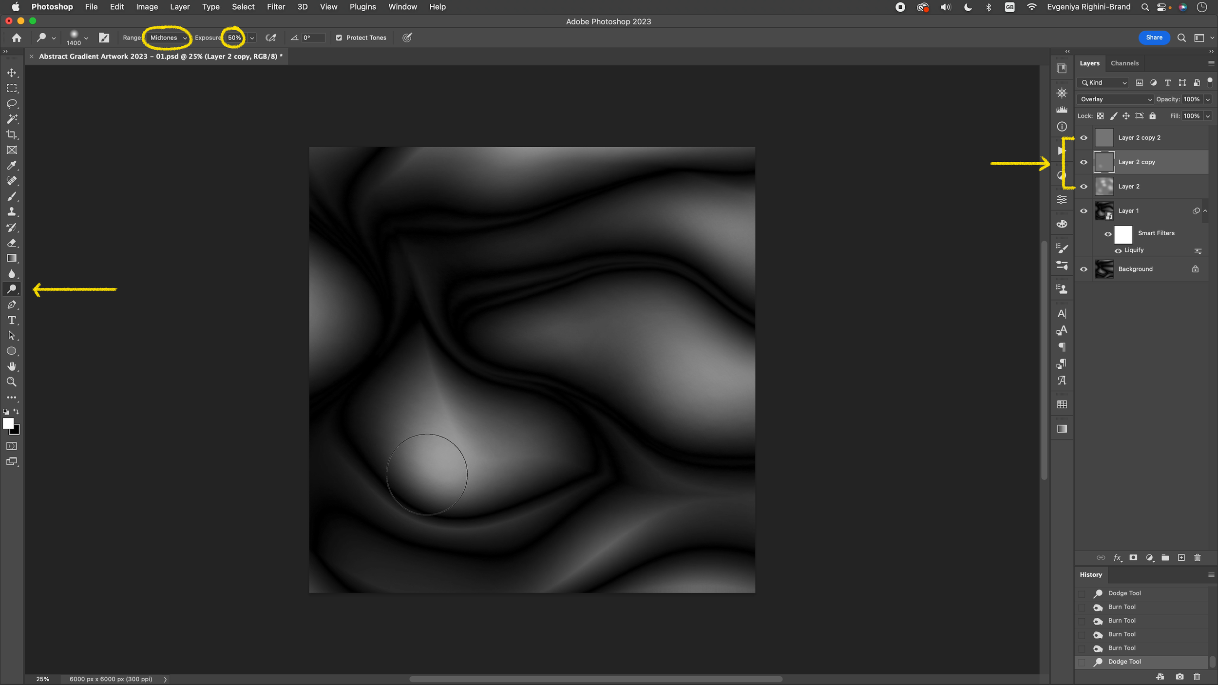 Step-by-Step Guide to Creating Organic Abstract Gradient Artworks in ...