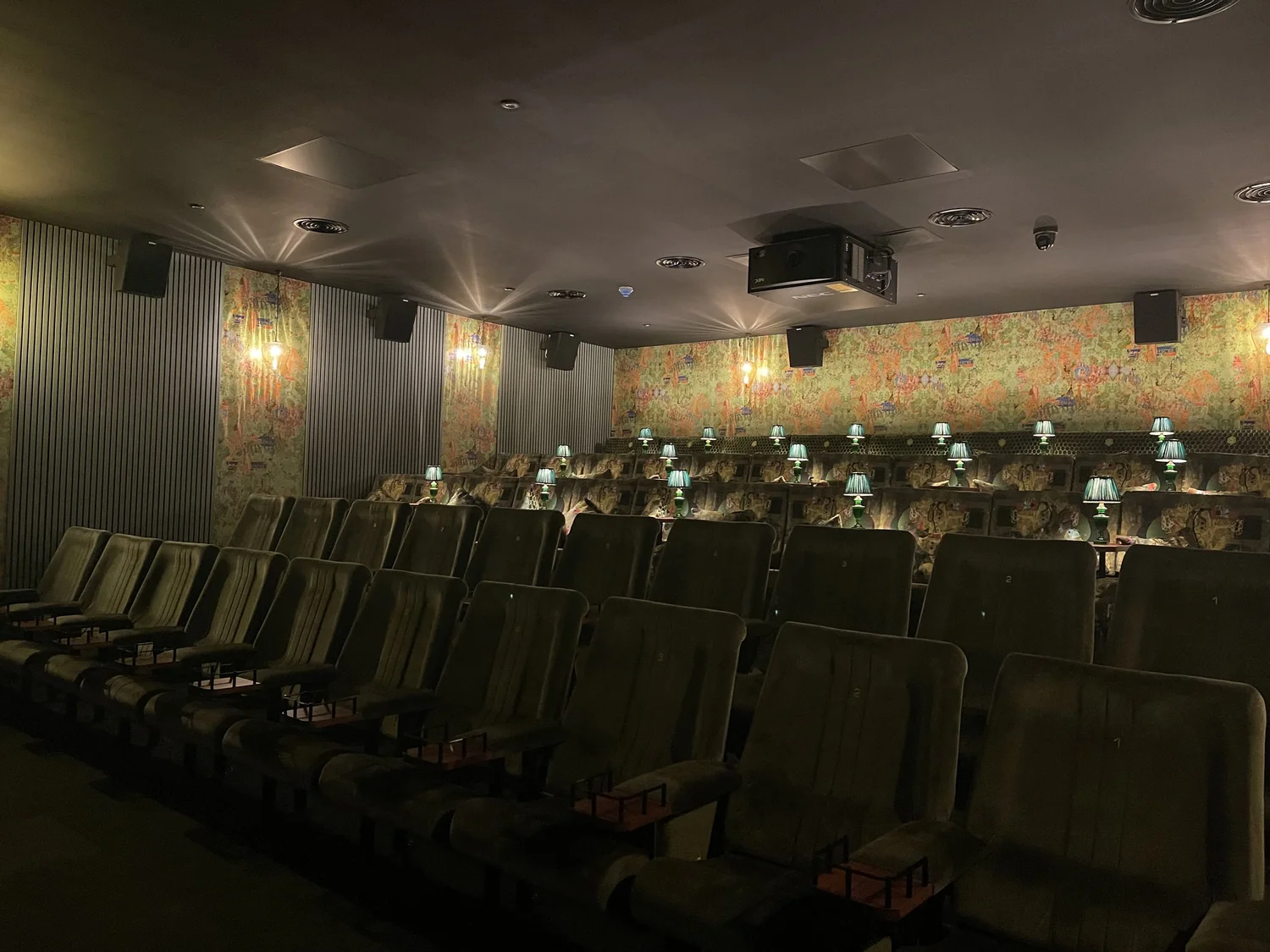 A LOOK INSIDE... The Northern Light Cinema Sale — Life in Sale