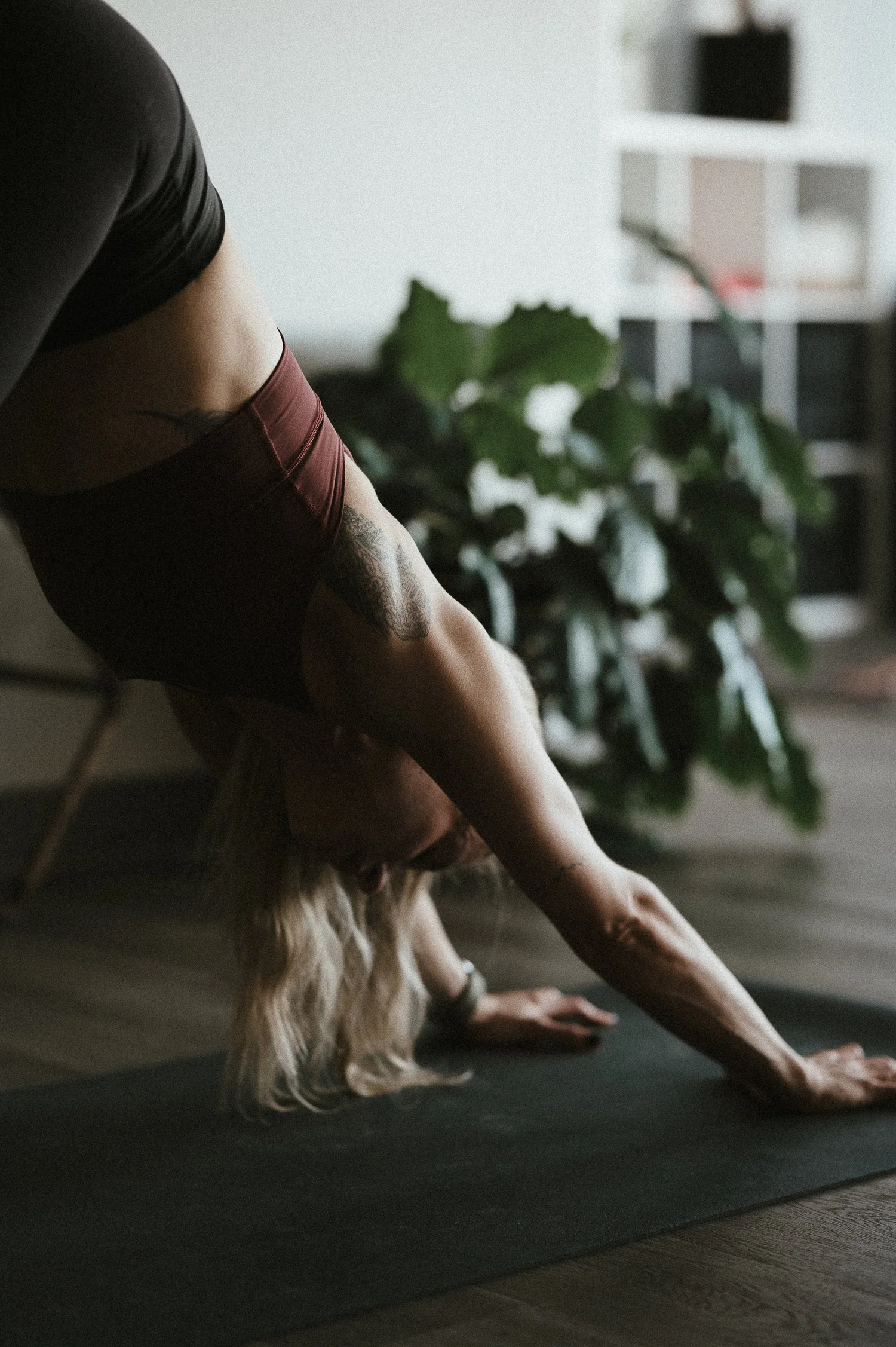 Ascend Movement Studio