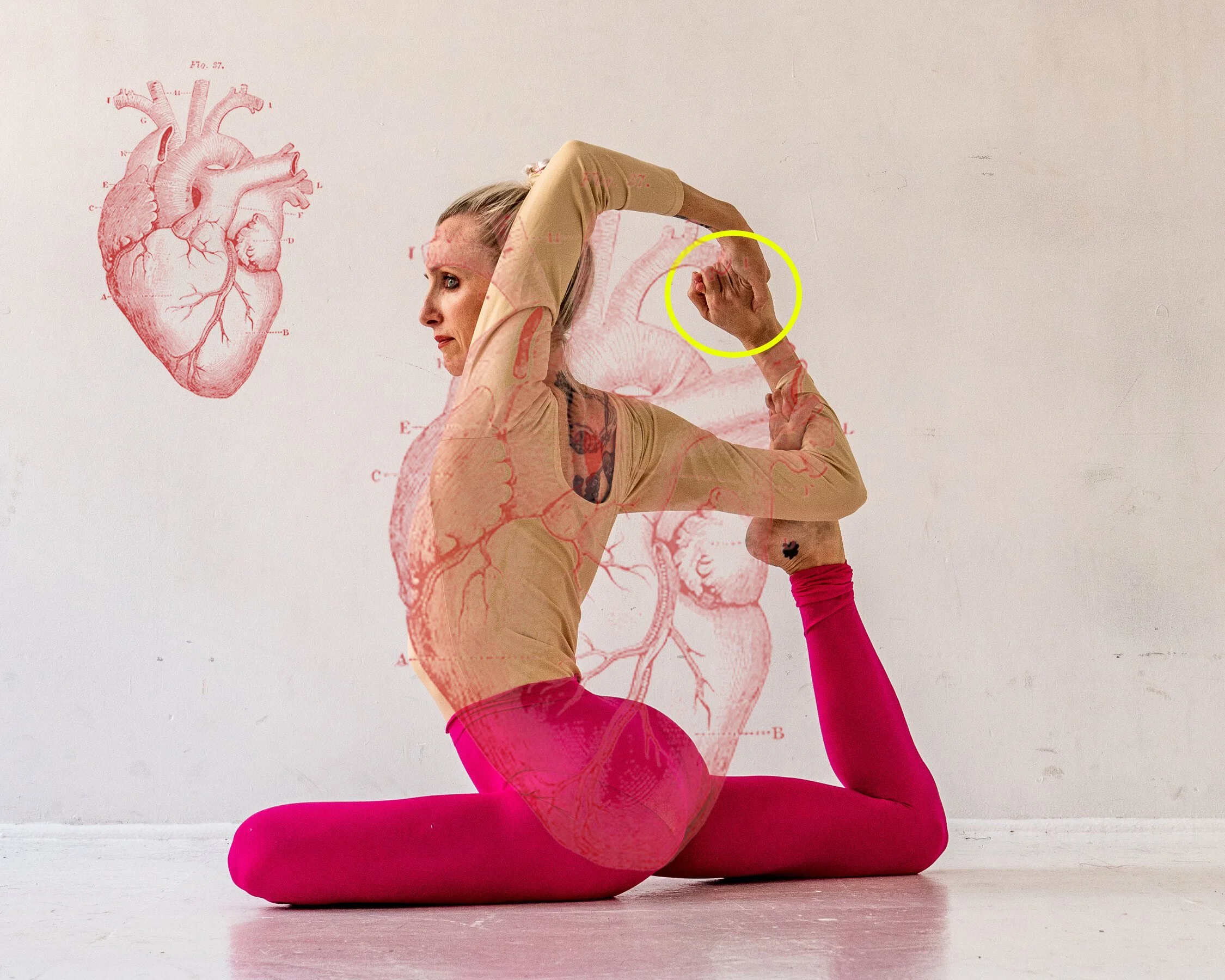 Downtown Austin Yoga Studio | PURE Yoga Texas