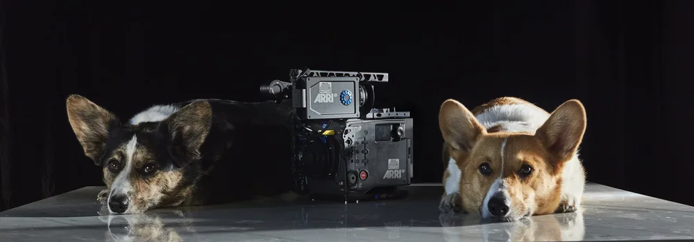 Liminal Space Rentals