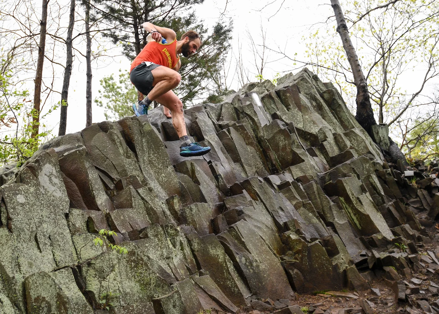 Seven Sisters Trail Race — Beast Coast Trail Running