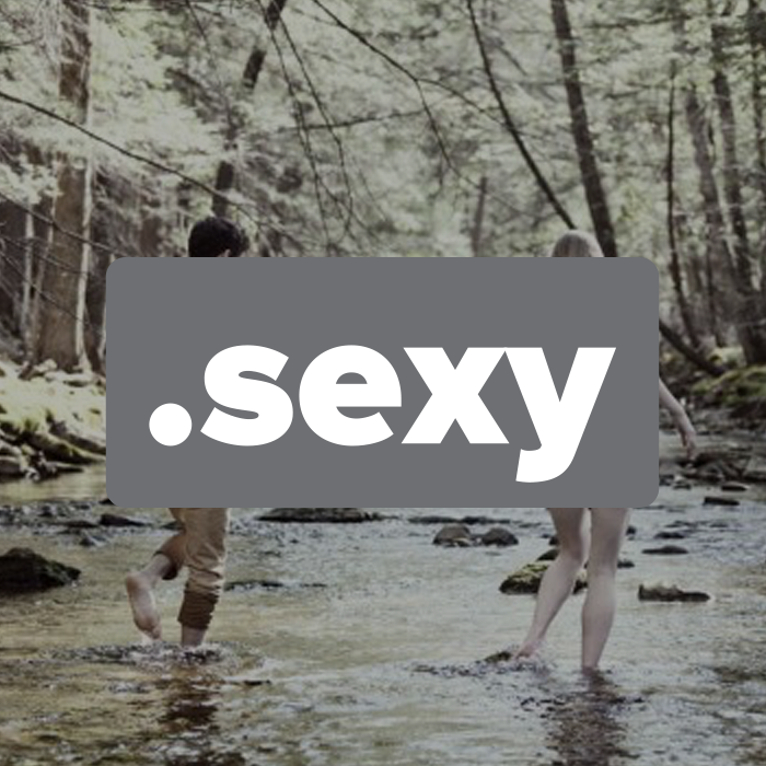 Portfolio — Internet Naming Co.