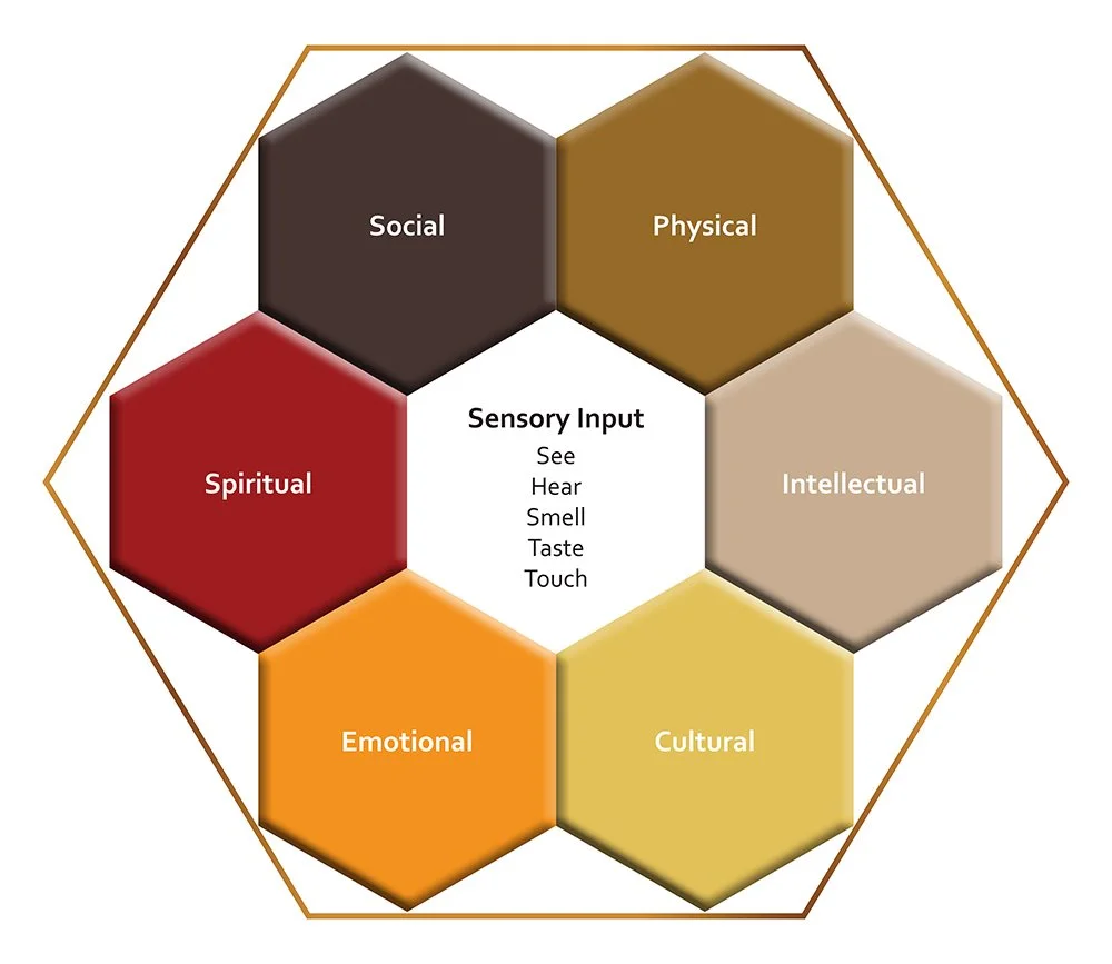 Universal Wellbeing Model (UWM) — NZCDI