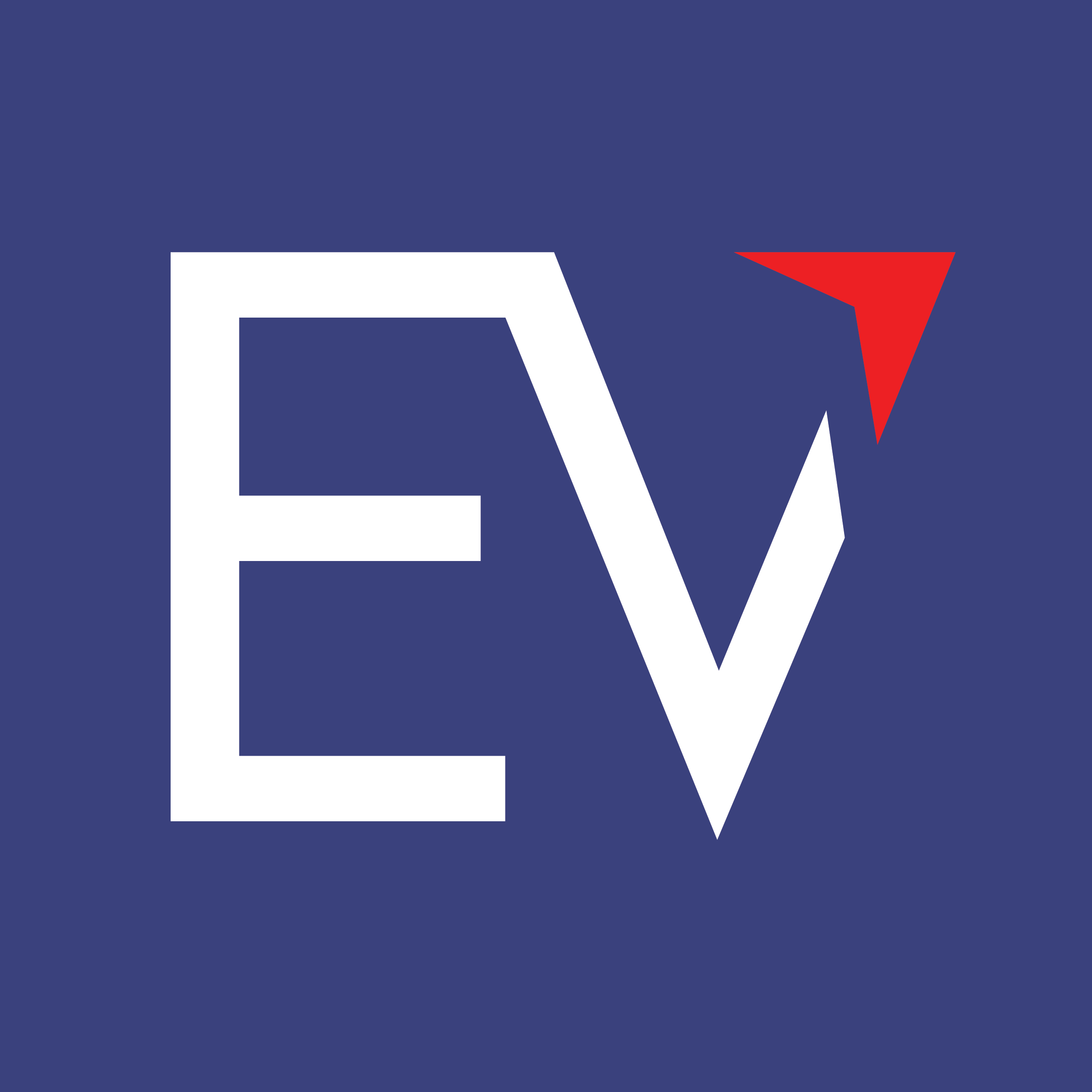 Elevate Ventures Group