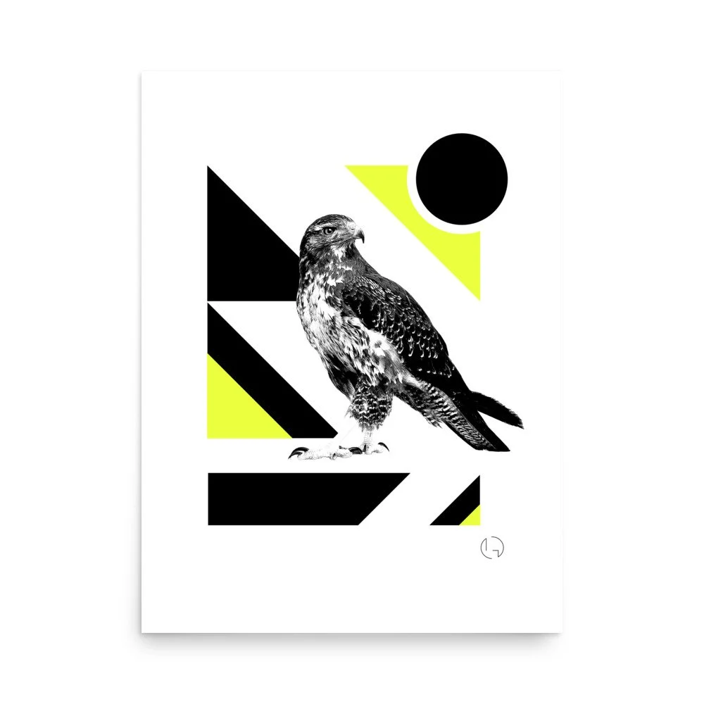 Cougar | Agility — ERIN OOSTRA