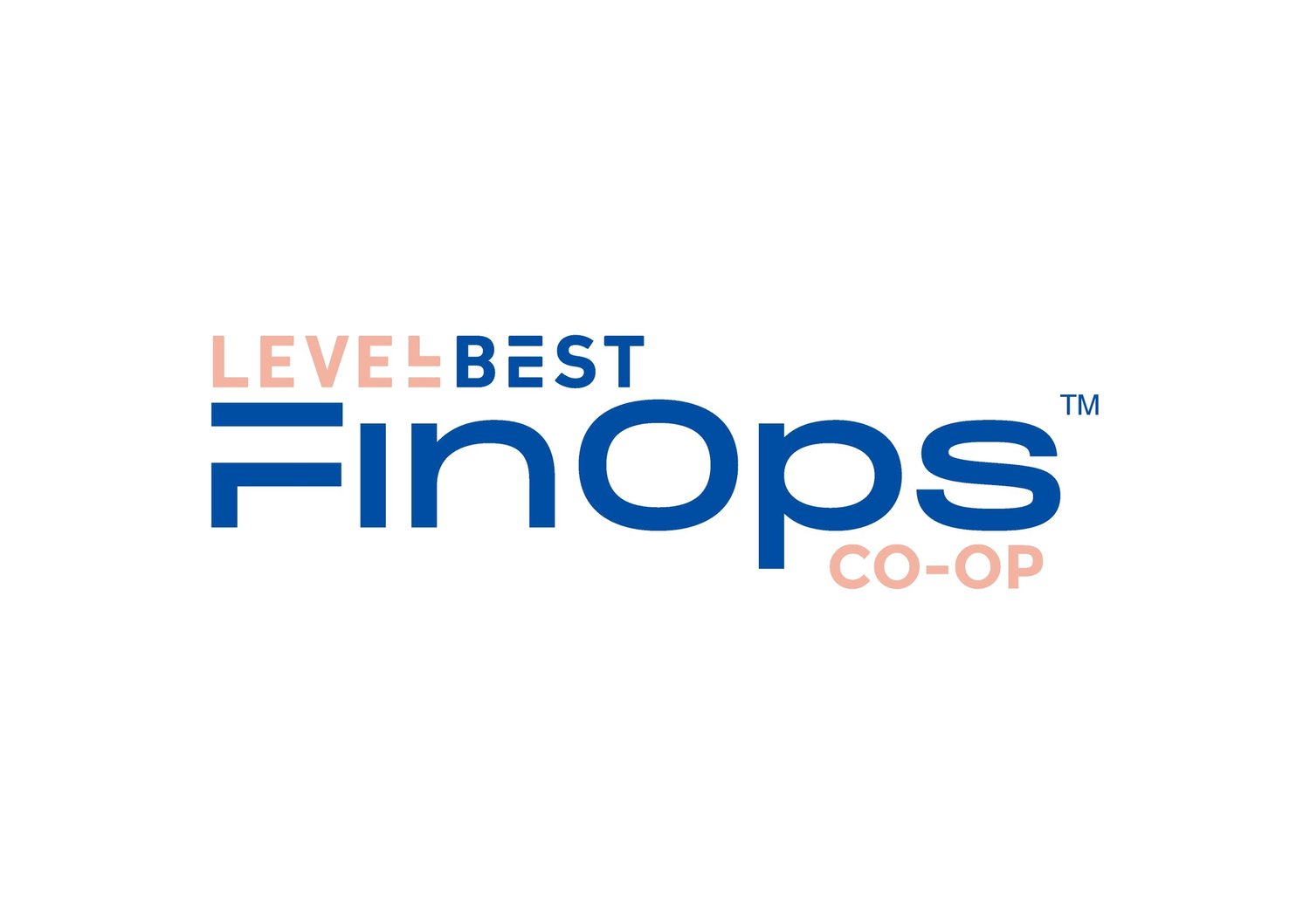 FinOps Co-op — Level Best