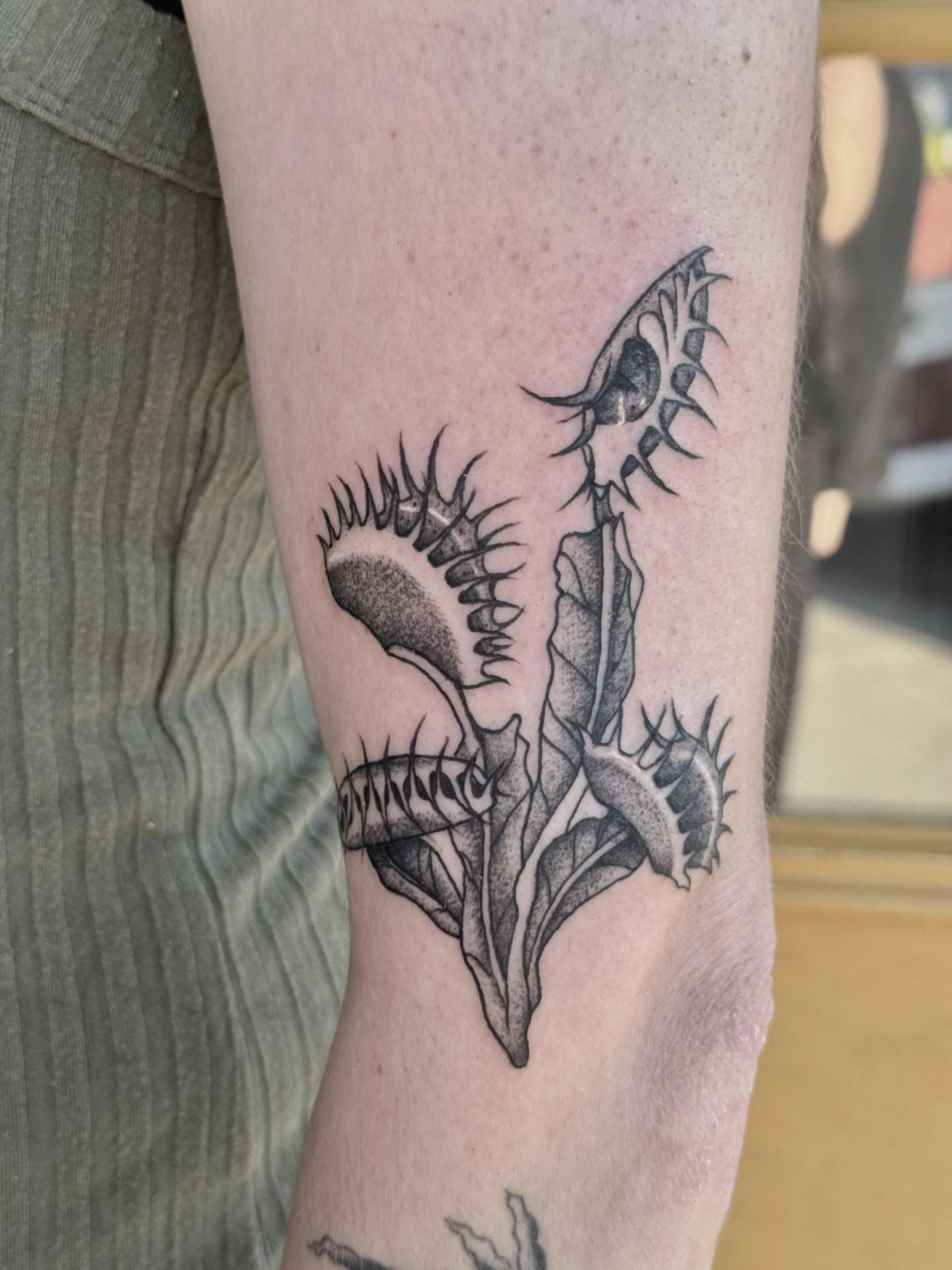 MANDA GALLERY | Discover Unique Tattoos Today — Rice Street Tattoo