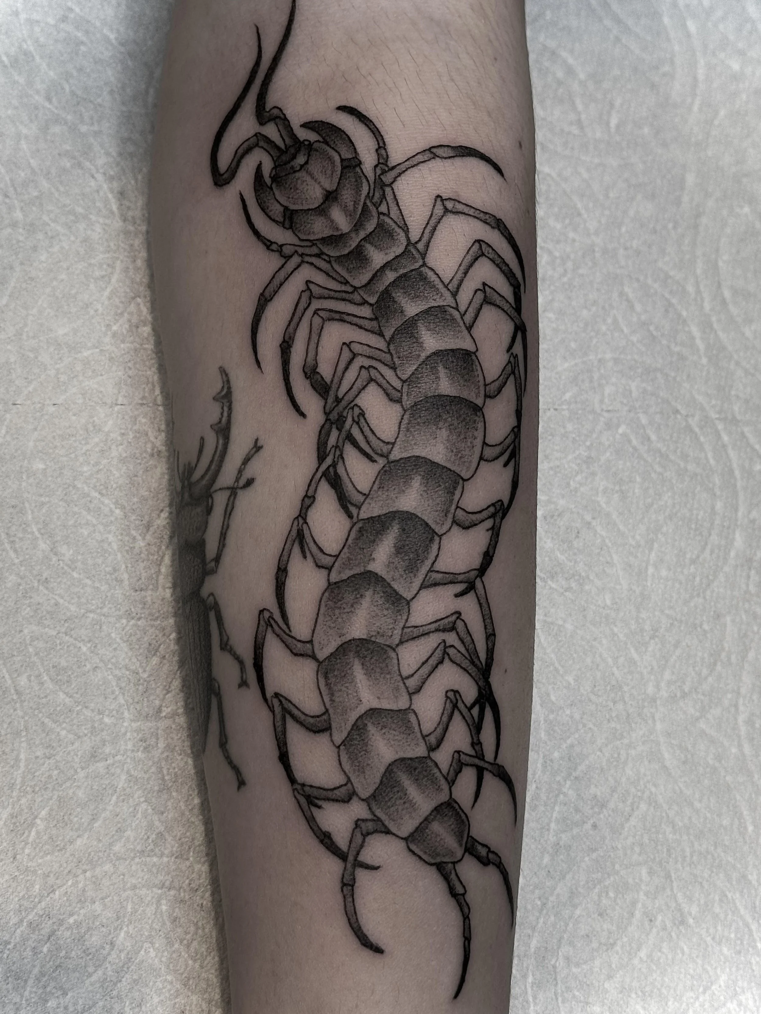 MANDA GALLERY | Discover Unique Tattoos Today — Rice Street Tattoo