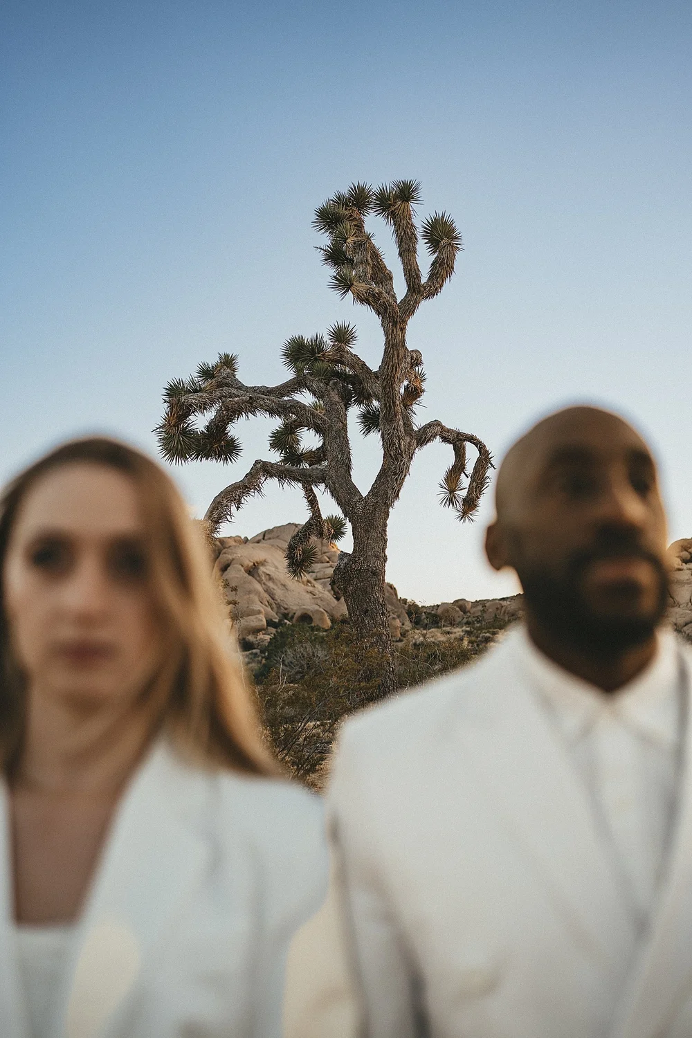 Erica & David | Engagement | Joshua Tree NP, CA — Andrea Michelle ...