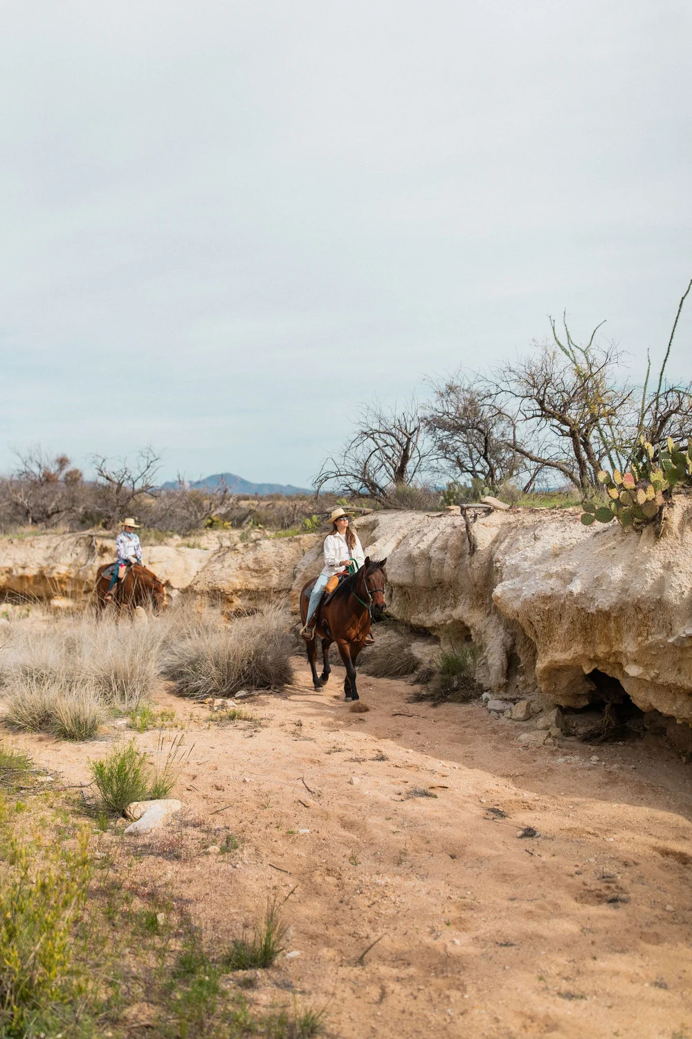 Horseback Riding — Rancho de la Osa