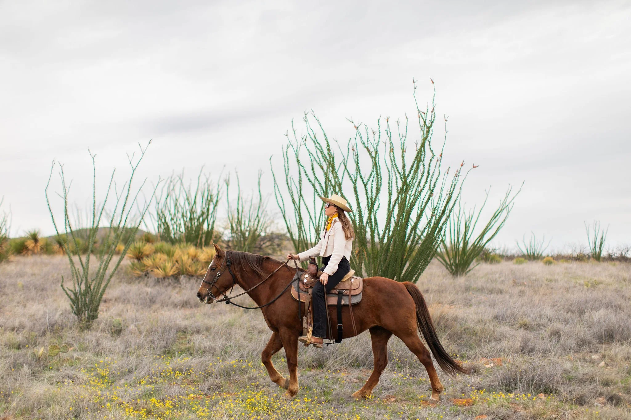 Rancho de la Osa — Arizona Dude Ranch