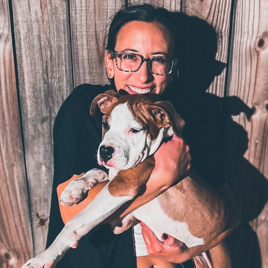 About Us | Support Dog Rescue – Get Involved Today | FosterDoc Houston ...