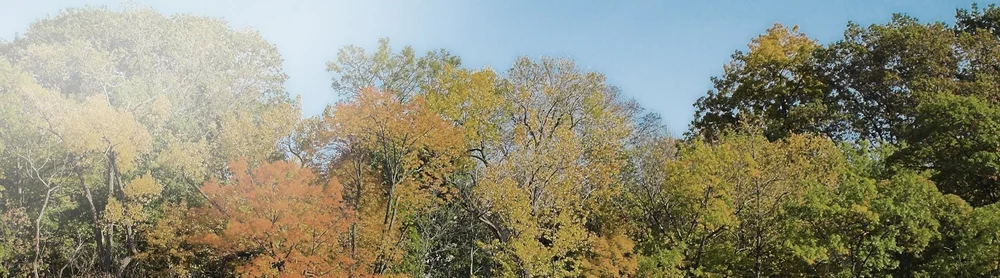 Meet Our Team — Tetting & Tetting, DDS