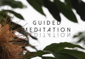 GUIDED MEDITATION — Stay True Wellness