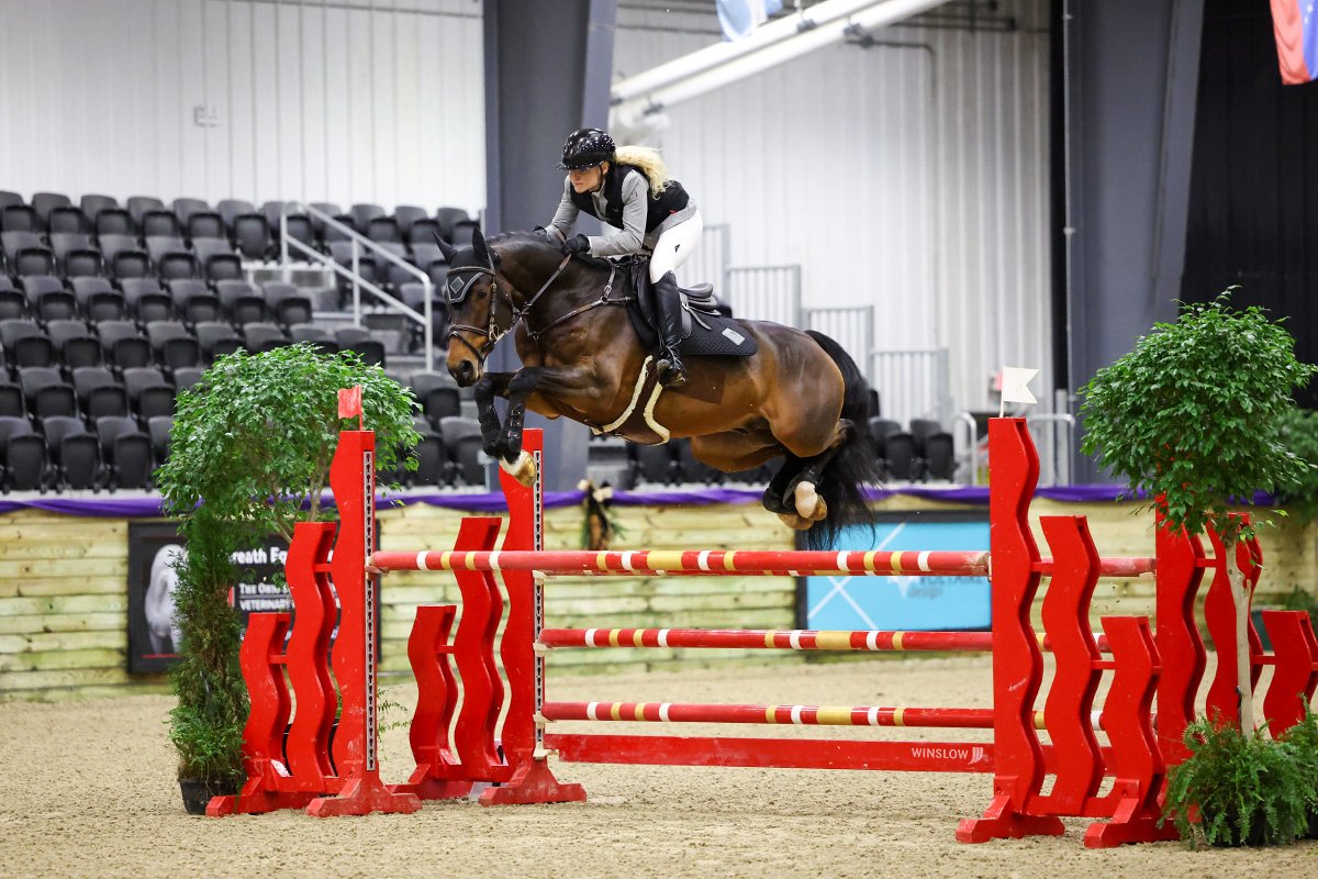 Our Horses — Educated Guess LLC