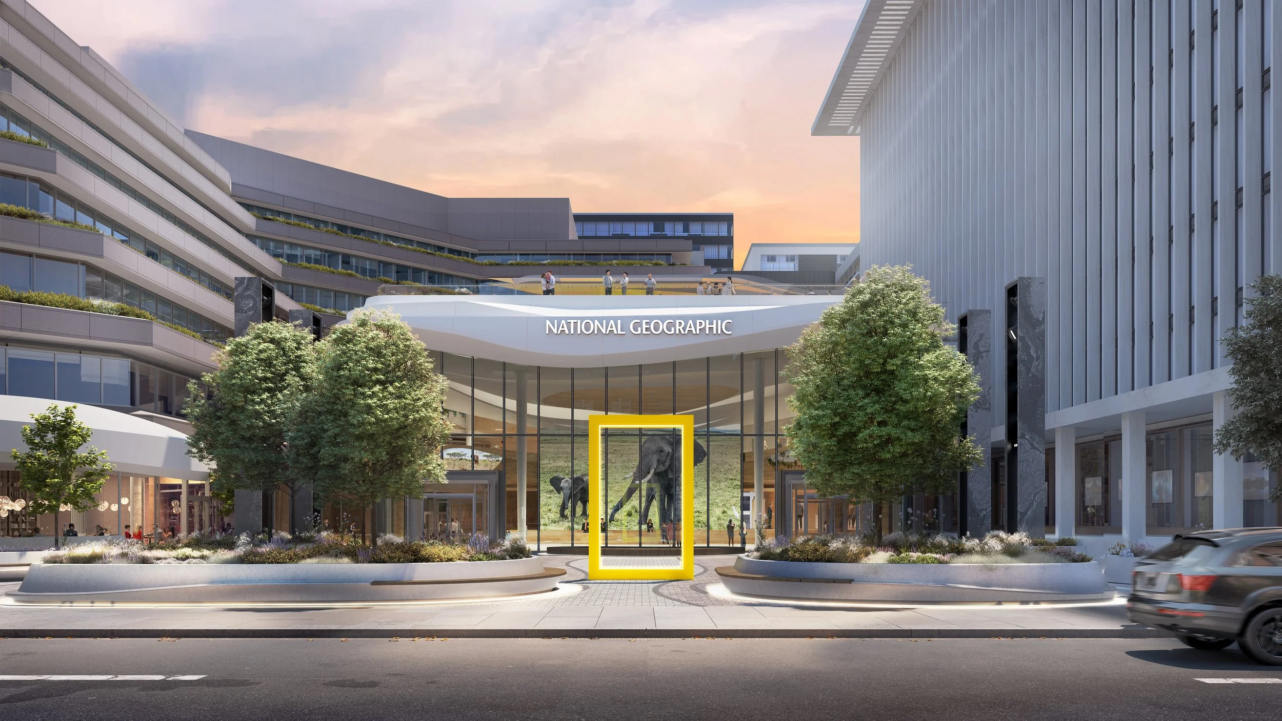How National Geographic Keeps Wonder Alive In The 21st Century- To ...