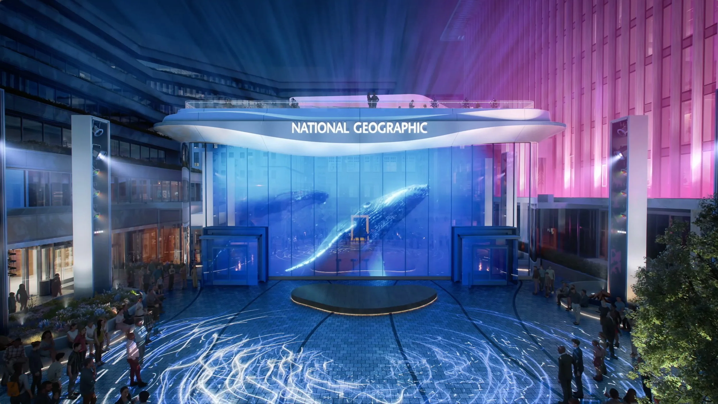 How National Geographic Keeps Wonder Alive In The 21st Century- To ...