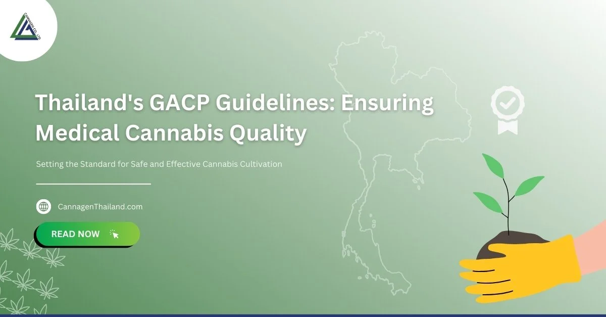 Thailand's GACP Guidelines: Ensuring Medical Cannabis Quality - Cannagen