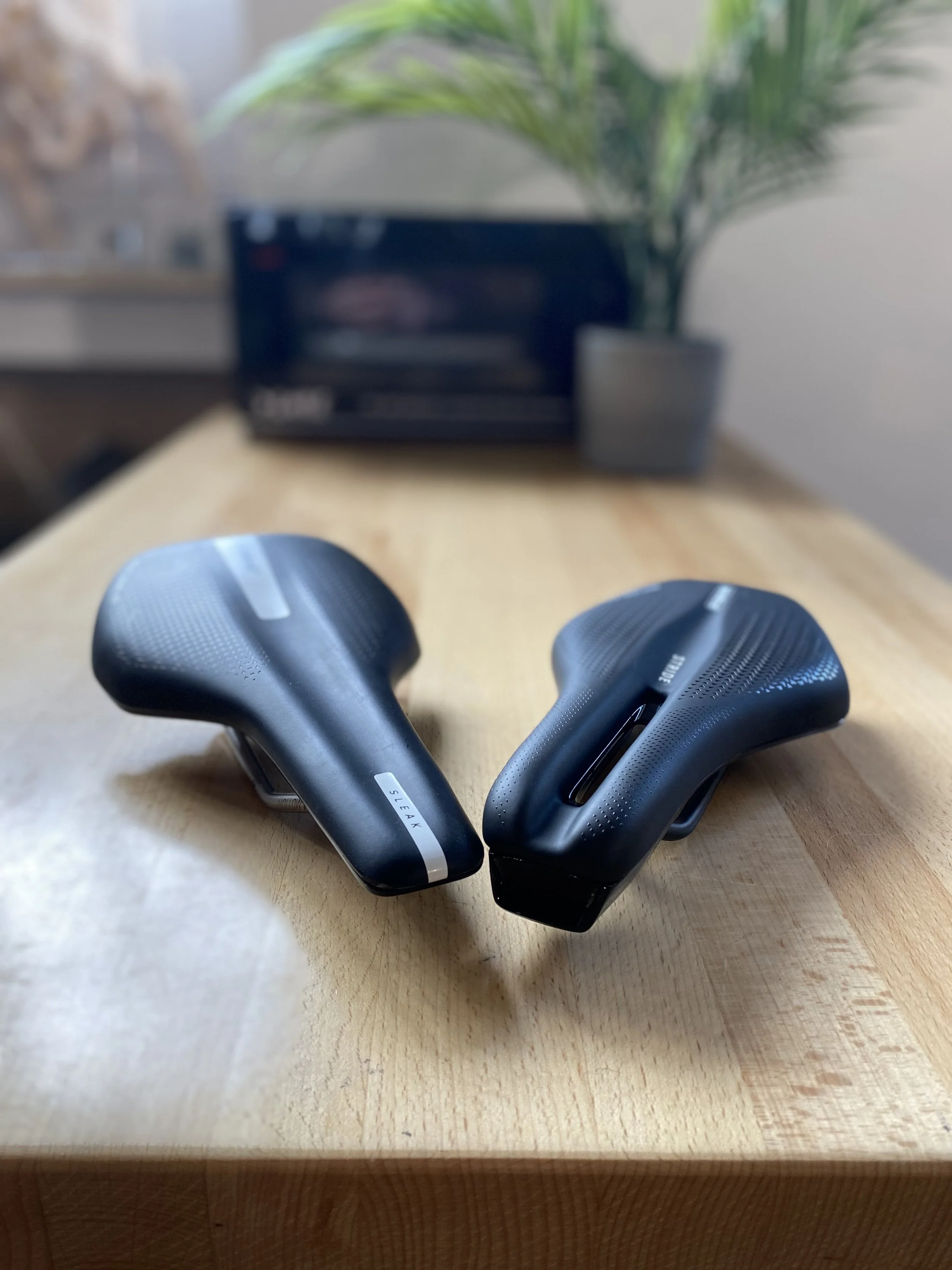 Niche Saddles — Pedalling Perfection