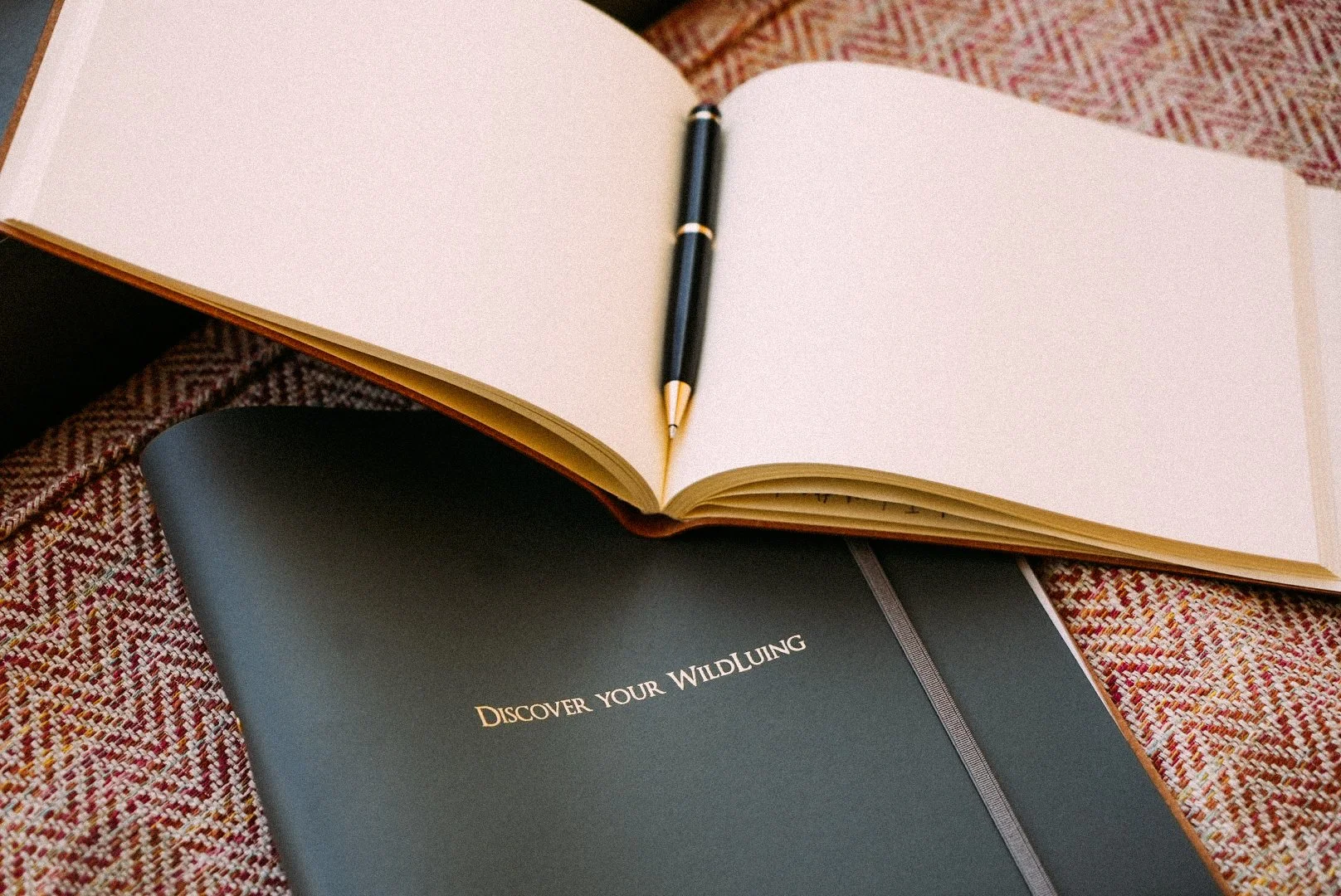 About Us — WildLuing