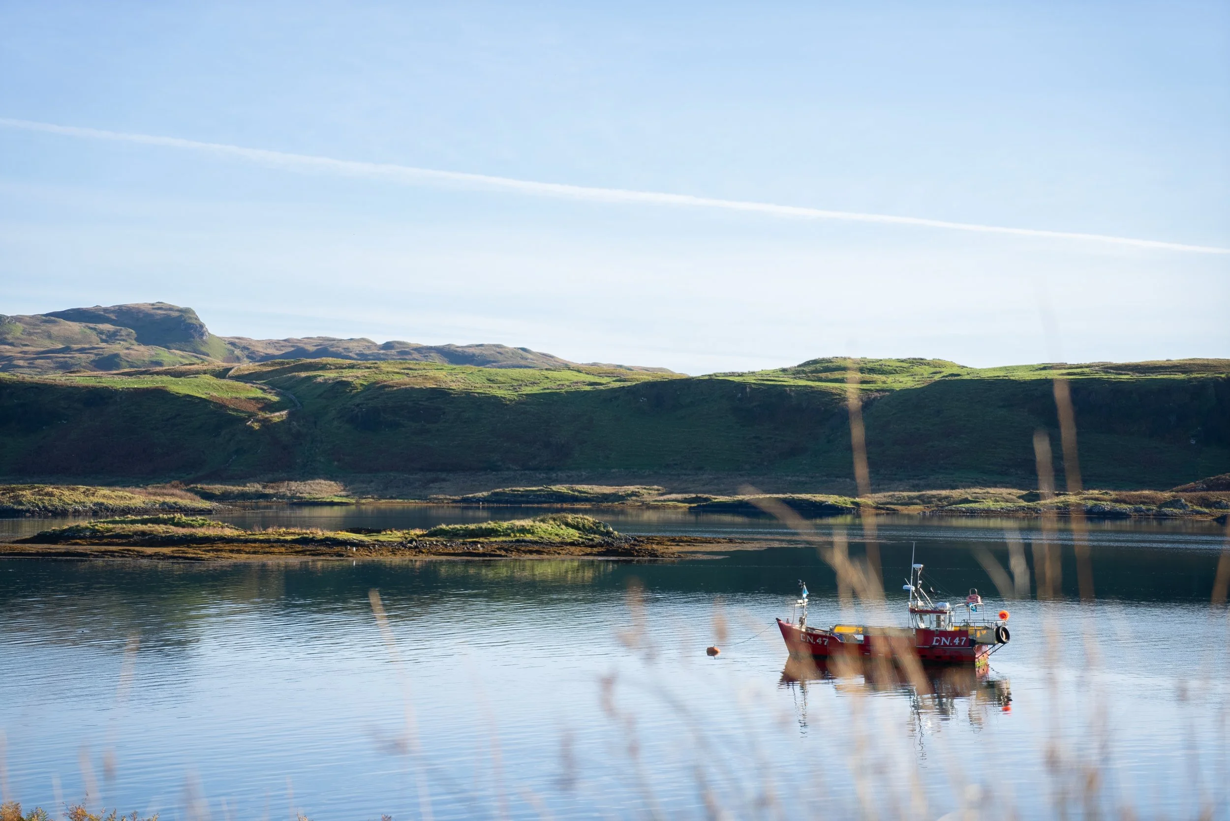 Explore — WildLuing