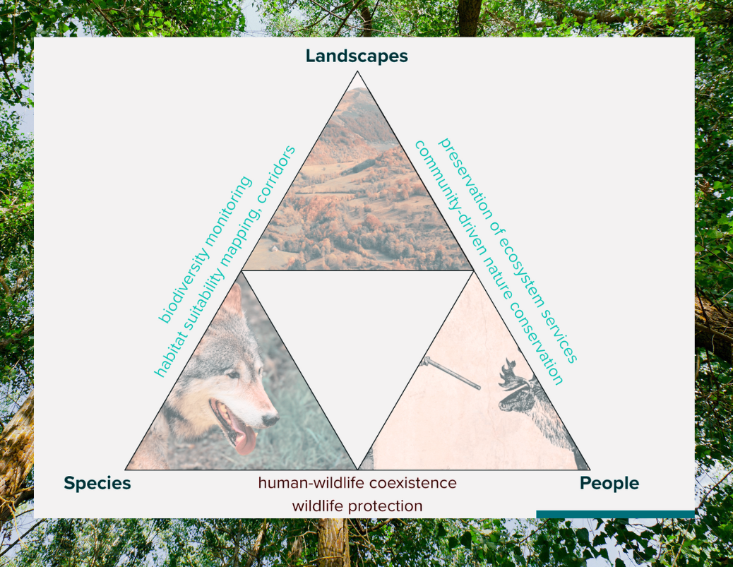 PRESERVING BIODIVERSITY AND PROTECTING WILDLIFE: INSIDE NATURE FIRST’S ...