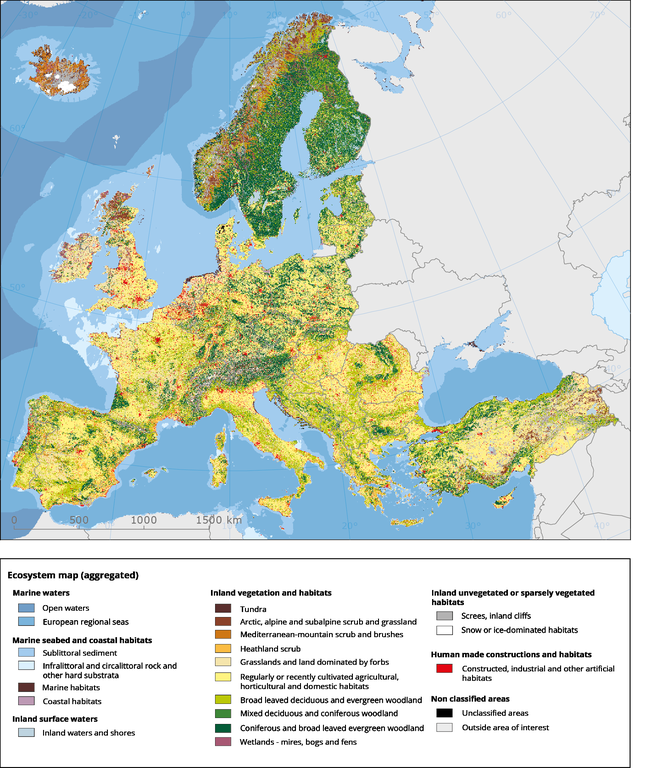 HABITAT MAPPING FOR BIODIVERSITY CONSERVATION: AN INTERVIEW WITH BORIS ...