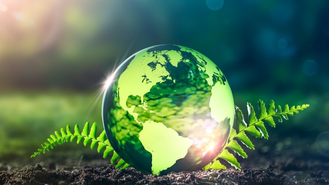 ECOSYSTEM BASEMAPS AND HOW THEY HELP NATURE CONSERVATION — Nature FIRST