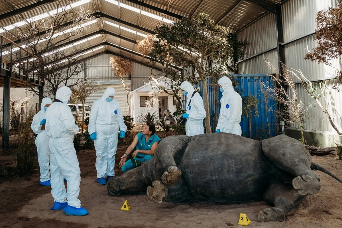 WILDLIFE FORENSIC KIT COMPETITION — Nature FIRST