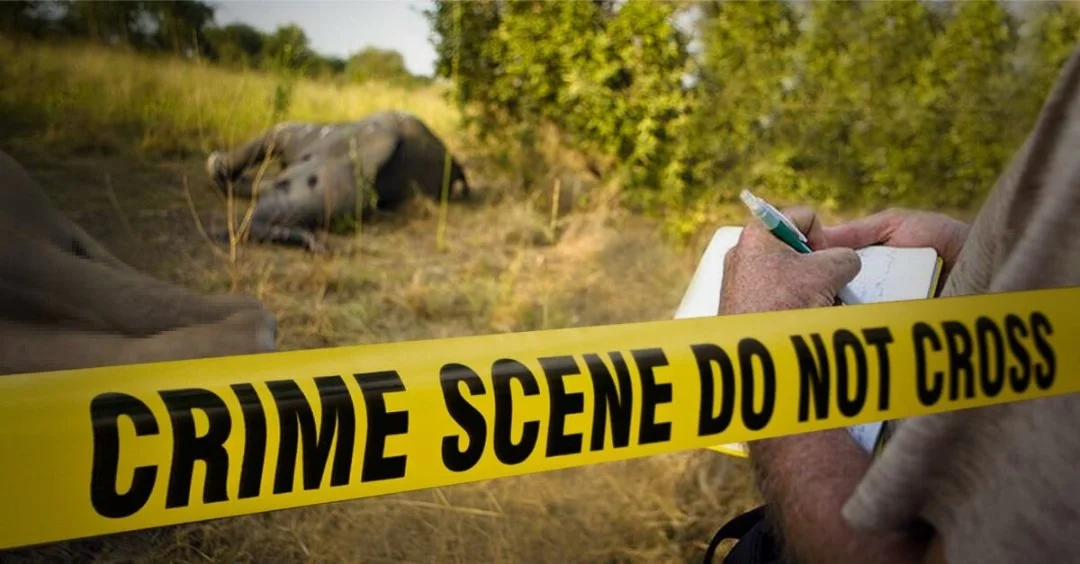 FORENSIC INTELLIGENCE | Uncover Wildlife Crimes — Nature FIRST