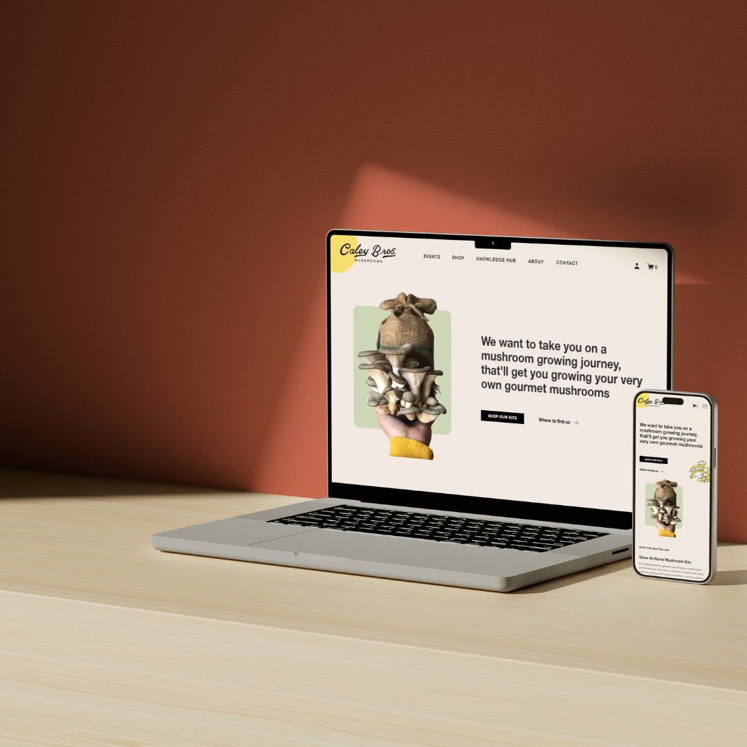 Studio Soph | Web development in Squarespace & Shopify